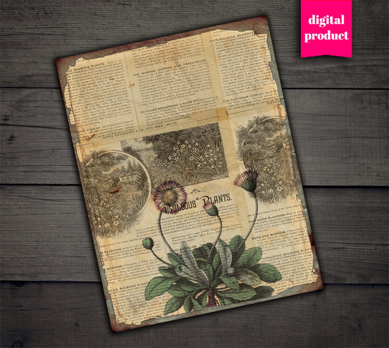 DIGITAL Vintage Botanical Ephemera Grunge Botanical Digital Collage ...