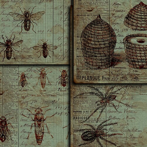 DIGITAL Vintage Insects Junk Journal Ephemera Digital - Etsy