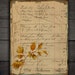 DIGITAL Vintage Fall Botanical Junk Journal Ephemera - Digital Paper ...