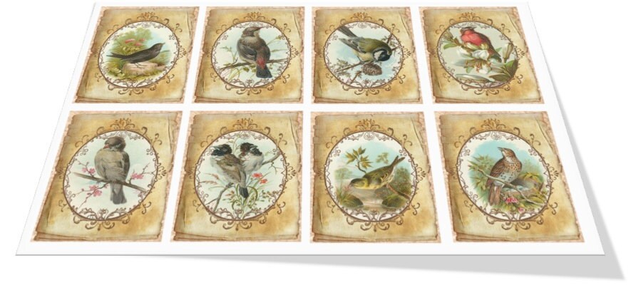 DIGITAL Vintage Birds Tags Digital Collage Sheet Download 916 - Etsy
