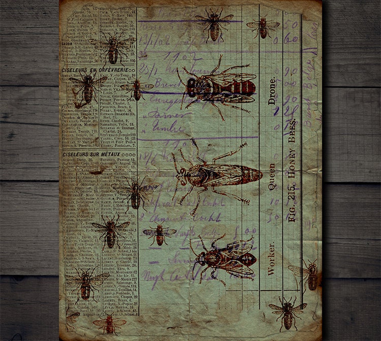 DIGITAL Grunge Insects Junk Journal Ephemera Digital Collage | Etsy