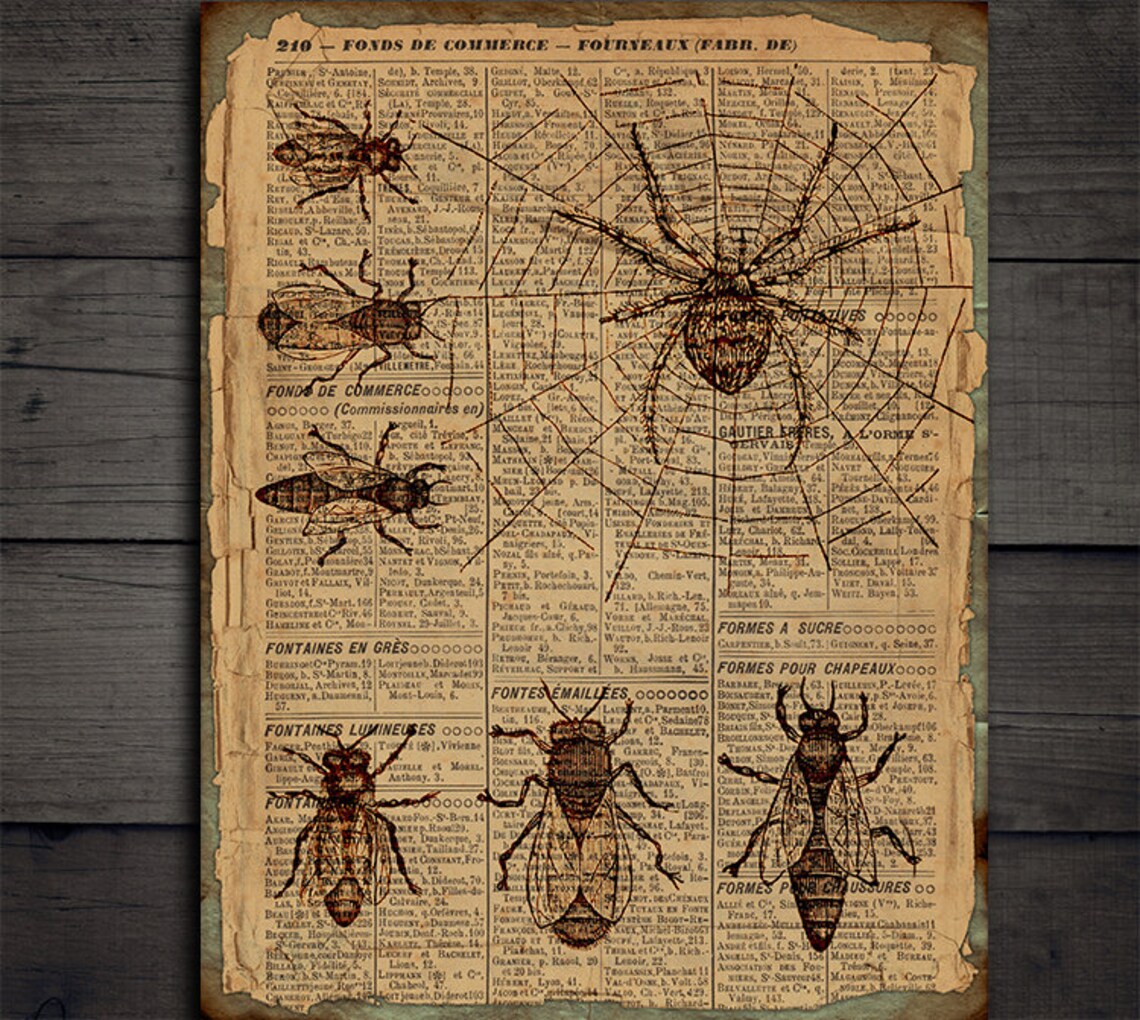 DIGITAL Vintage Insects Junk Journal Ephemera Digital - Etsy
