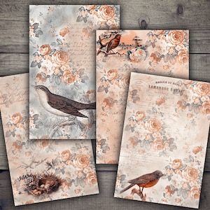 DIGITAL Birds Floral Backgrounds - Digital Paper - Instant Download ...