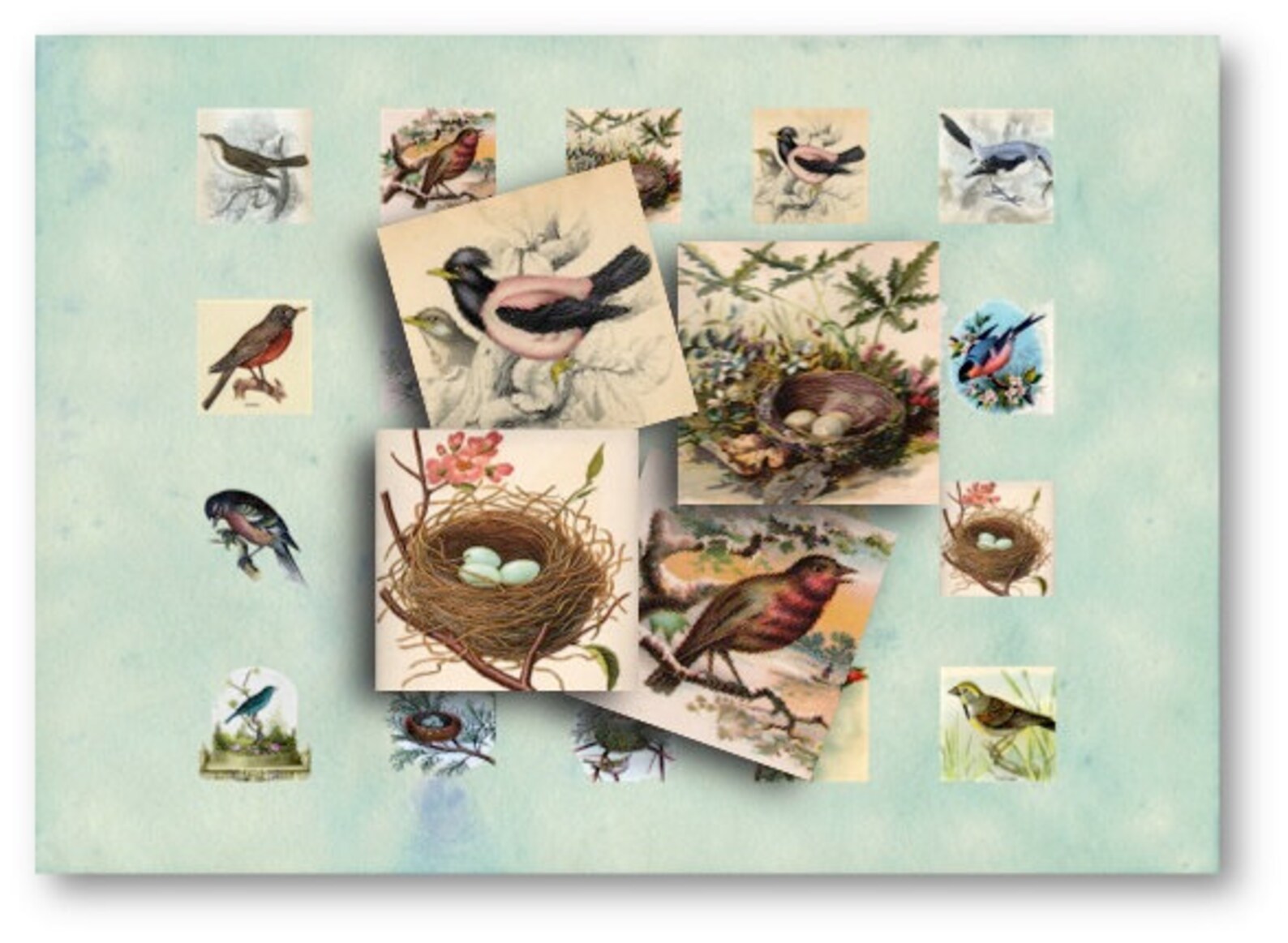 DIGITAL Birds 1 Inch Square Digital Collage Sheet Download | Etsy