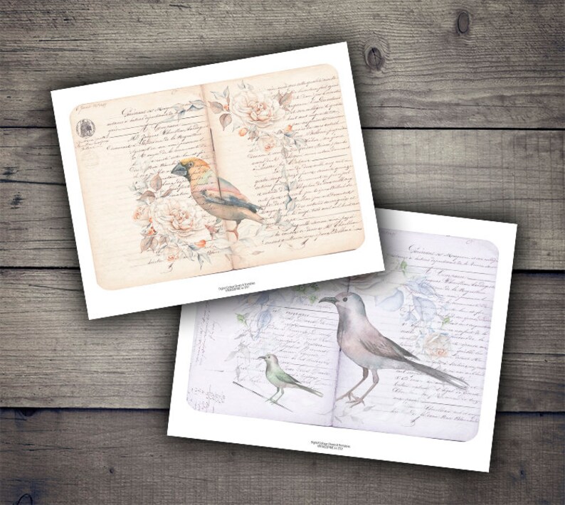 DIGITAL Bird Handwritten Letters Digital Collage Sheet Download - Etsy