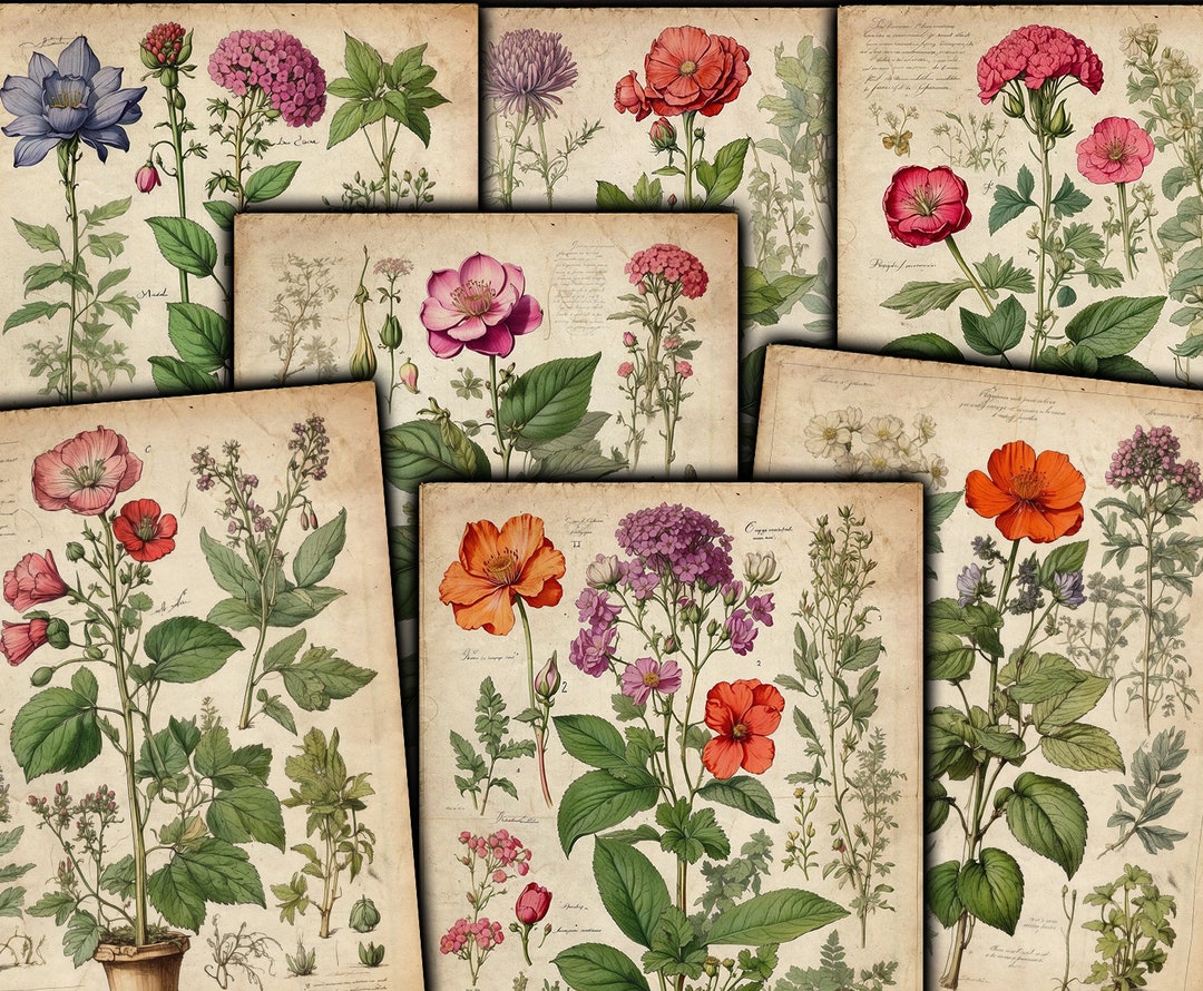 Botanical Ephemera: Vintage Floral Junk Journal Pages (digital Download ...