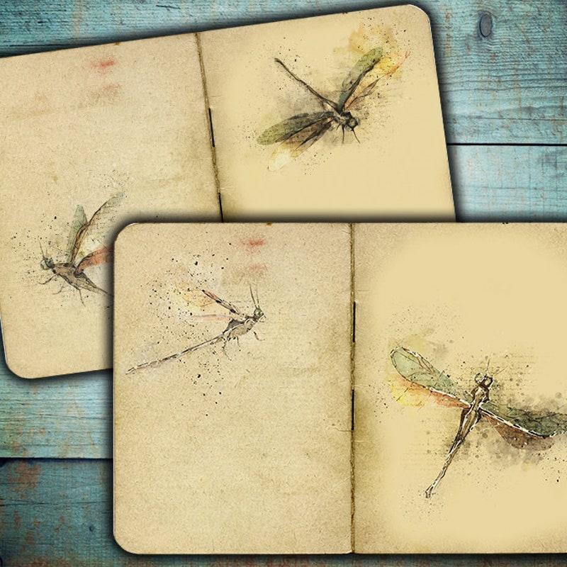 Dragonflies - Etsy