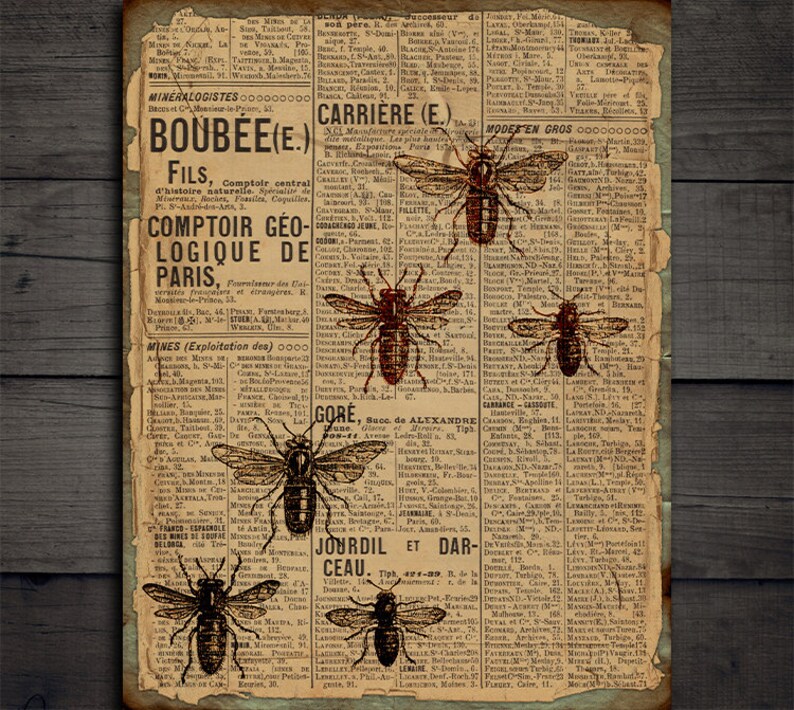 DIGITAL Vintage Insects Junk Journal Ephemera Digital - Etsy