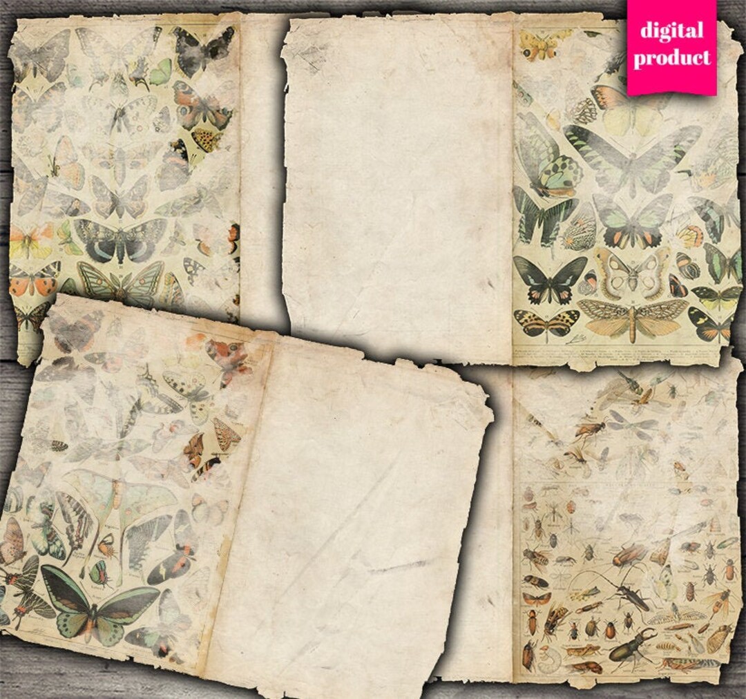 DIGITAL Grunge Butterfly Junk Journal Pages - Grunge Insects and ...