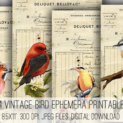 DIGITAL Vintage Ephemera Labels Digital Collage Sheet Download - Etsy