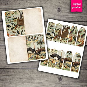 DIGITAL Vintage Bird Junk Journal Kit - Printable Vintage Birds ...