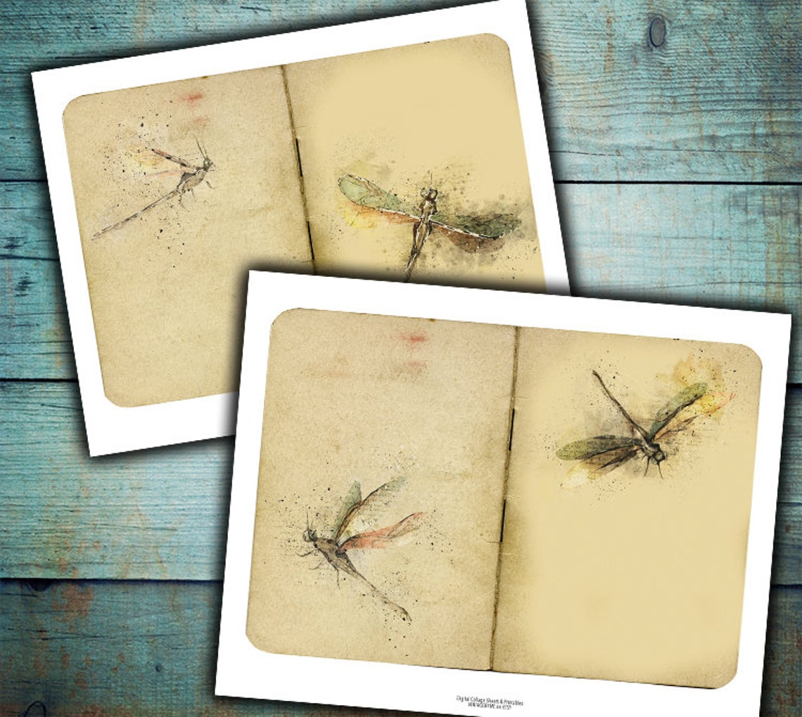 DIGITAL Printable Dragonfly Junk Journal Ephemera Digital - Etsy