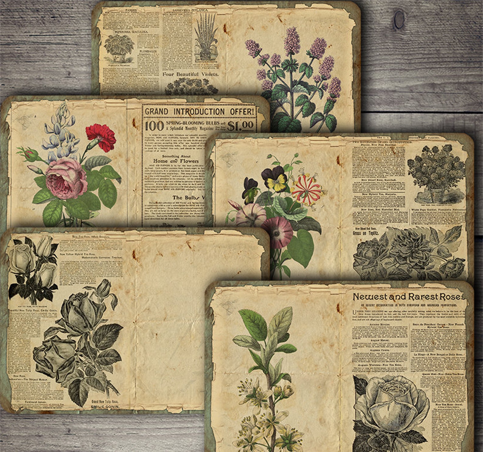 DIGITAL Vintage Botanical Junk Journal Ephemera Digital - Etsy
