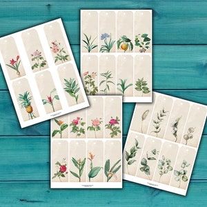 DIGITAL Vintage Herbal XL Tags - Printable Floral Tags - Vintage Plants ...