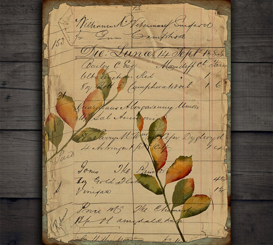 DIGITAL Vintage Fall Botanical Junk Journal Ephemera - Digital Paper ...