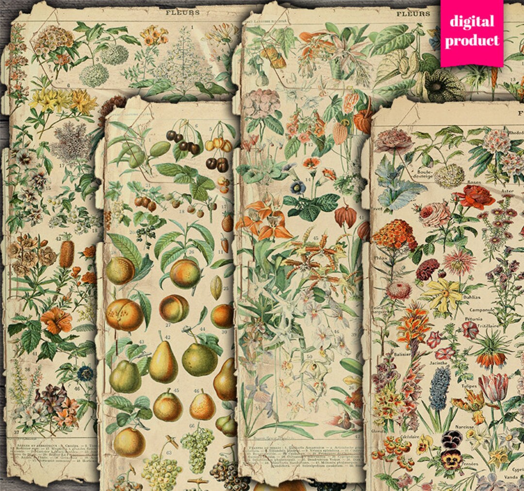 DIGITAL Vintage Botanical Junk Journal Ephemera - Grunge Flowers ...