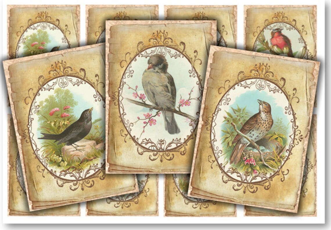 DIGITAL Vintage Birds Tags Digital Collage Sheet Download 916 - Etsy