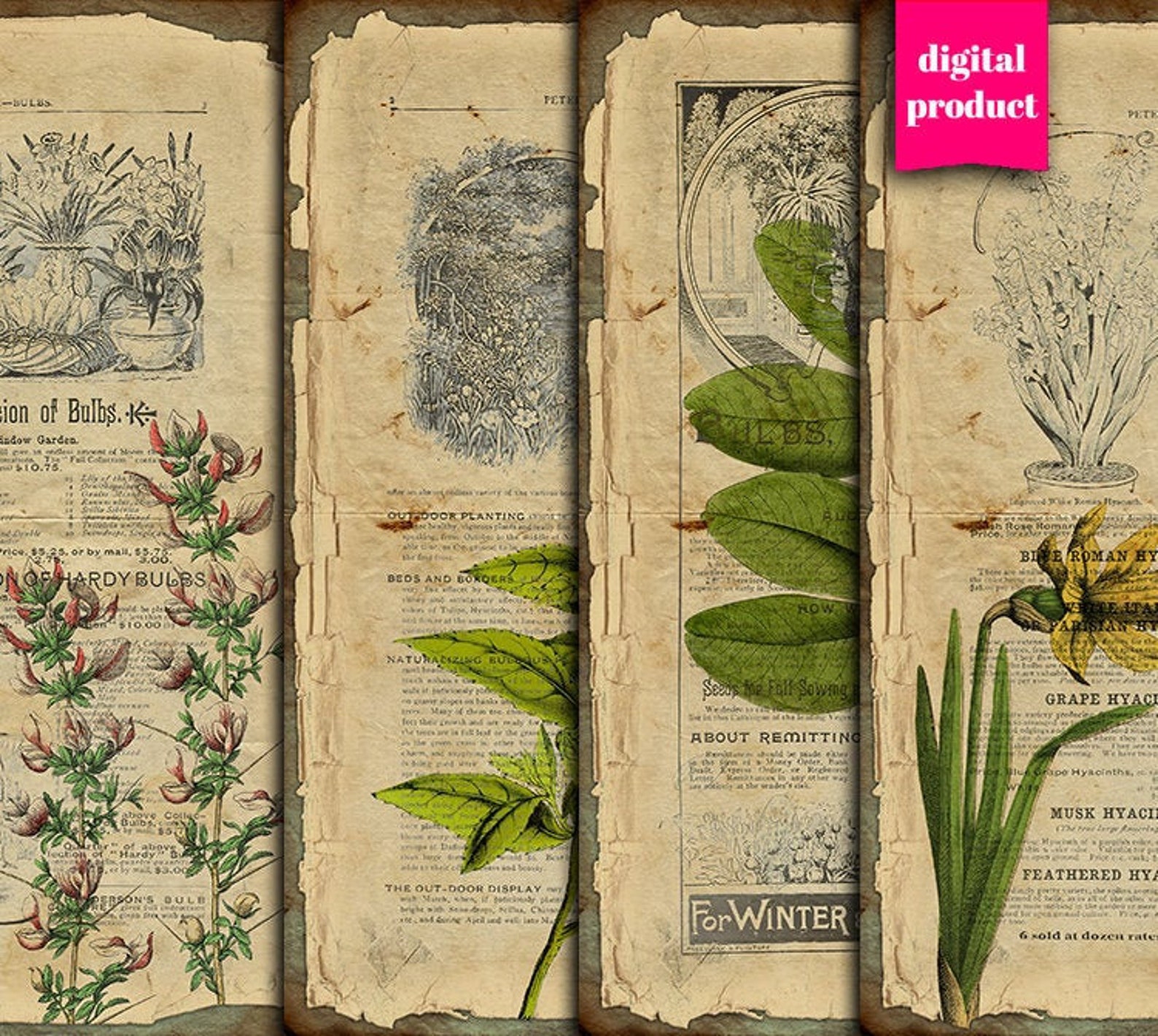 DIGITAL Vintage Botanical Ephemera Grunge Botanical Digital - Etsy