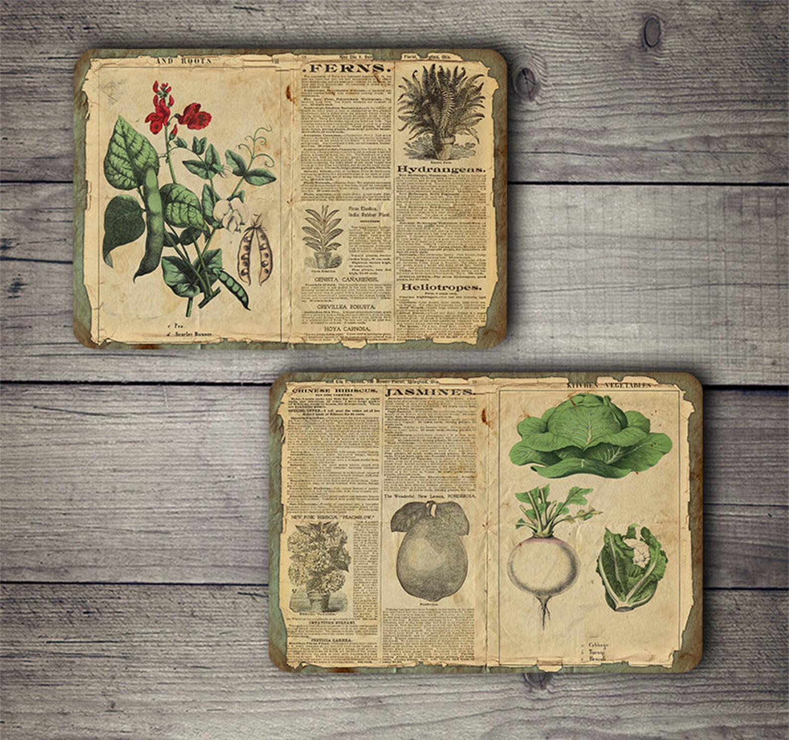 DIGITAL Vintage Botanical Junk Journal Ephemera Digital - Etsy