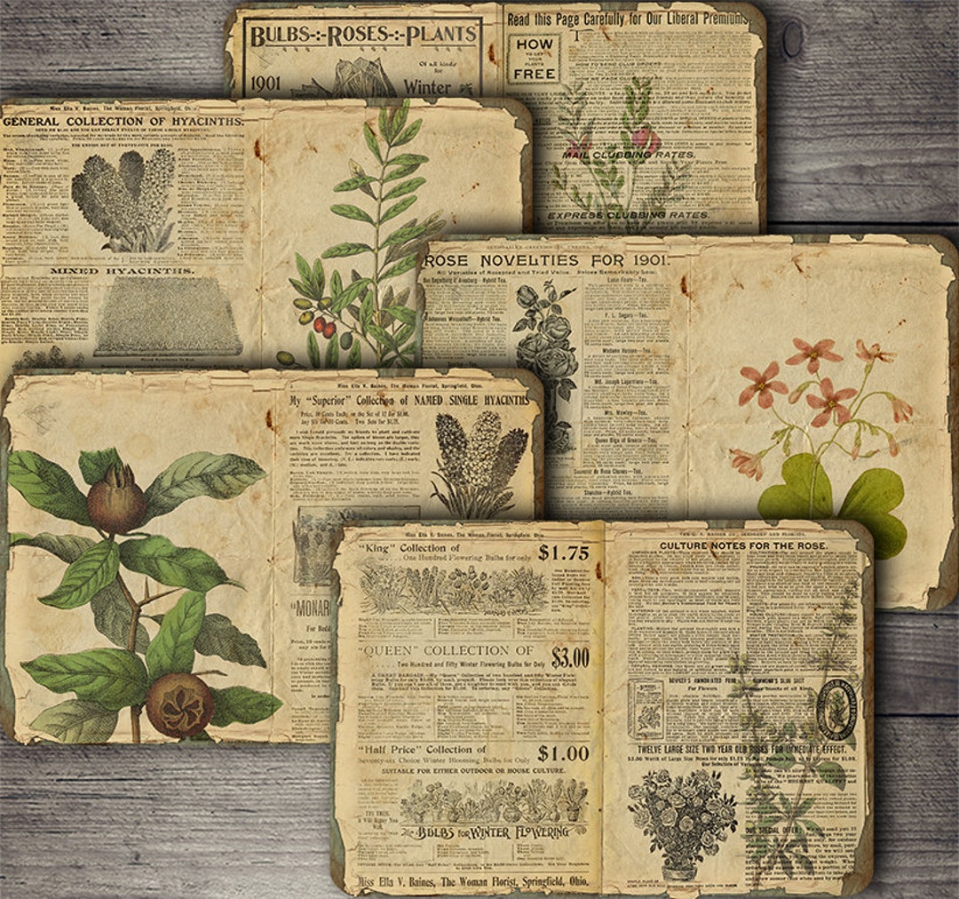 Vintage Botanical Collage Sheet: Junk Journal Ephemera (digital ...