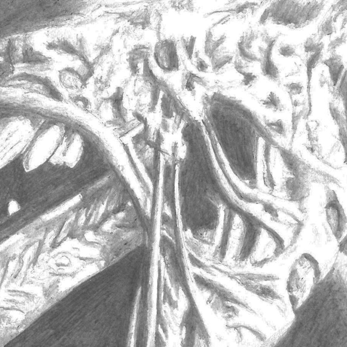 ALIEN Pencil Drawing - Etsy