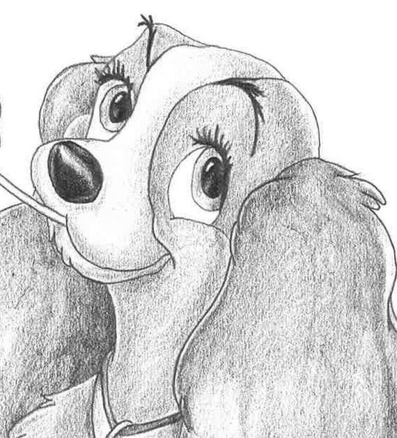 Lady And The Tramp Drawing
