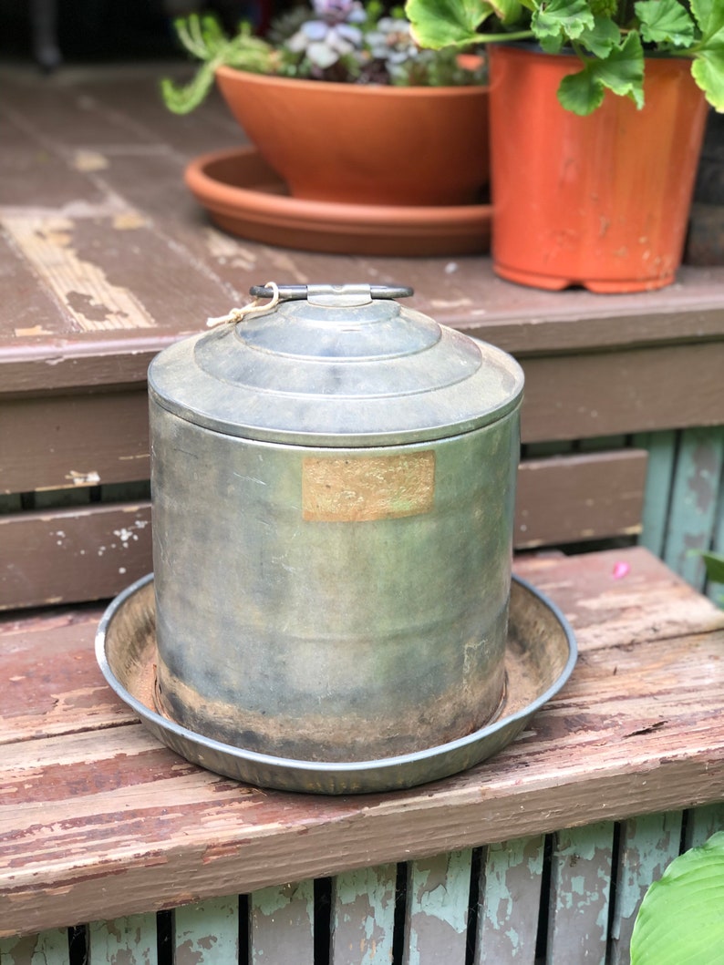 Vintage Galvanized Chicken Waterer,garden Decor,farmhouse Decor - Etsy