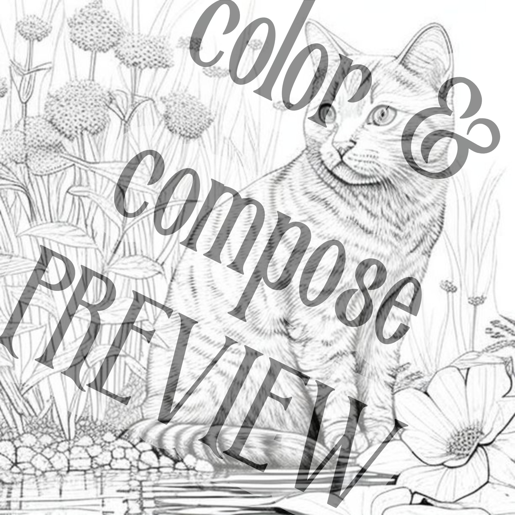 220 Beautiful and Unique Cat Coloring Pages for Adults -- Cat Lovers ...