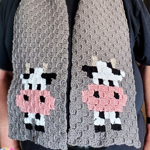 Baby Bear Afghan C2C Crochet Pattern Written Row Counts C2C - Etsy