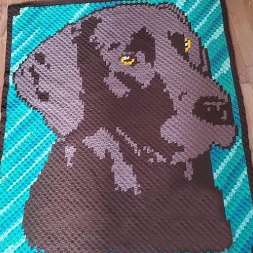 Chocolate Lab Afghan C2C Crochet Pattern Written Row Counts - Etsy ...