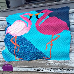 Flamingo Friends Afghan C2C Crochet Pattern - Etsy