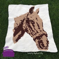 Instant Download - Mustang Horse Standard Blanket Crochet Graph Chart ...