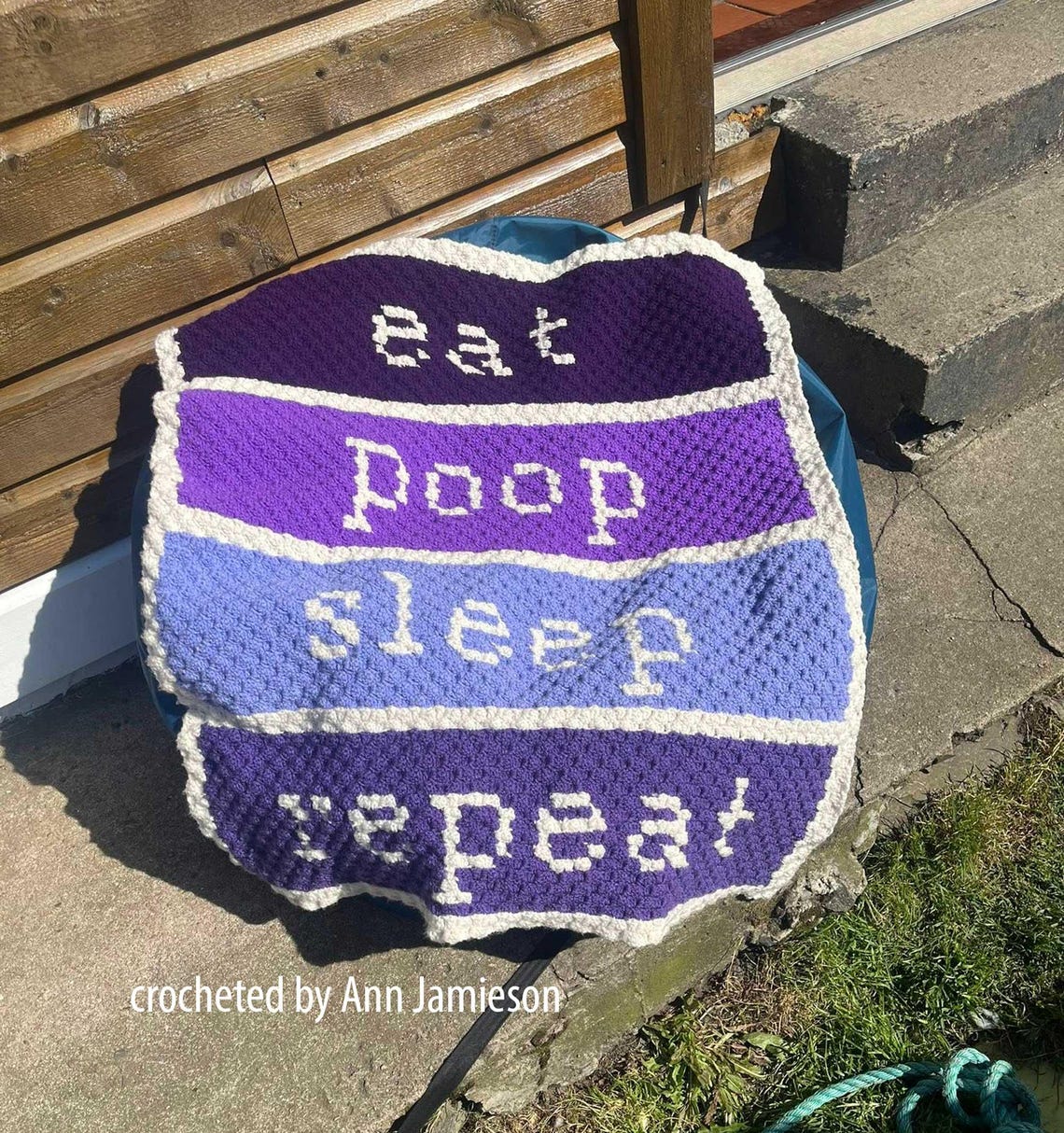 Eat Poop Sleep Baby Afghan C2C Crochet Pattern, Graph and Written Row ...