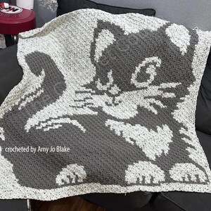 Kitty Cat Afghan C2C Crochet Pattern, Graph and Written Row by Row ...