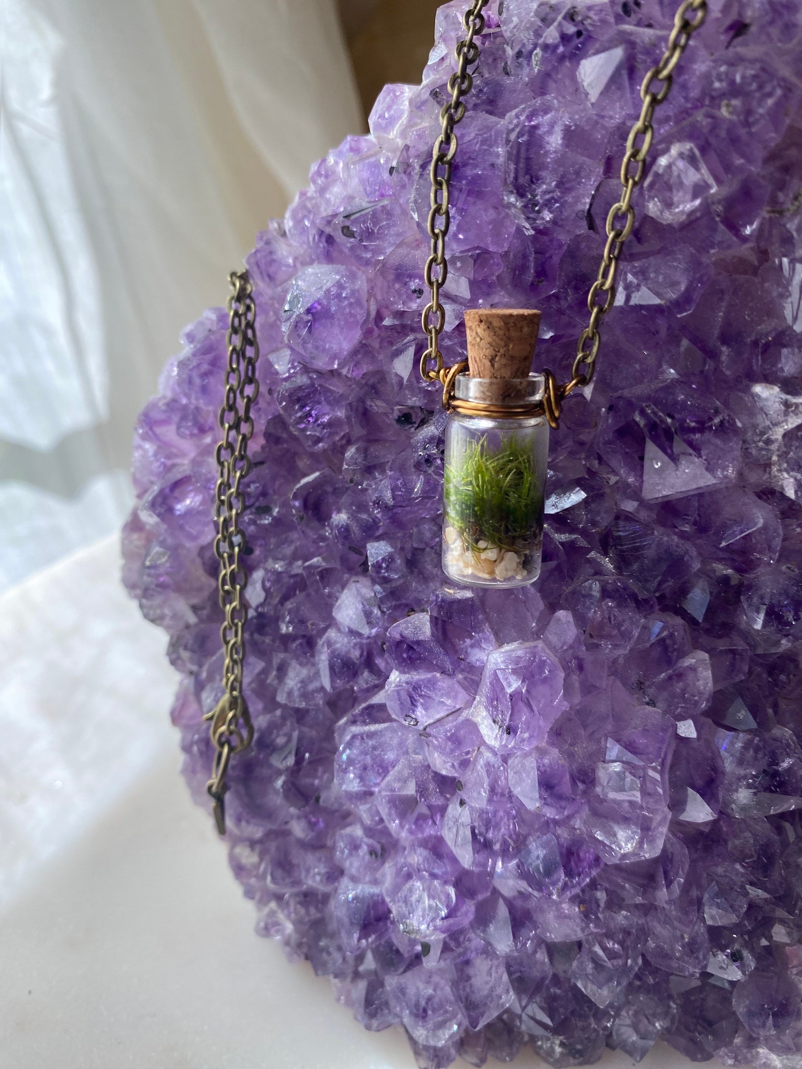 TINY TERRARIUM Necklace With Live Kentucky Moss Living Plant - Etsy