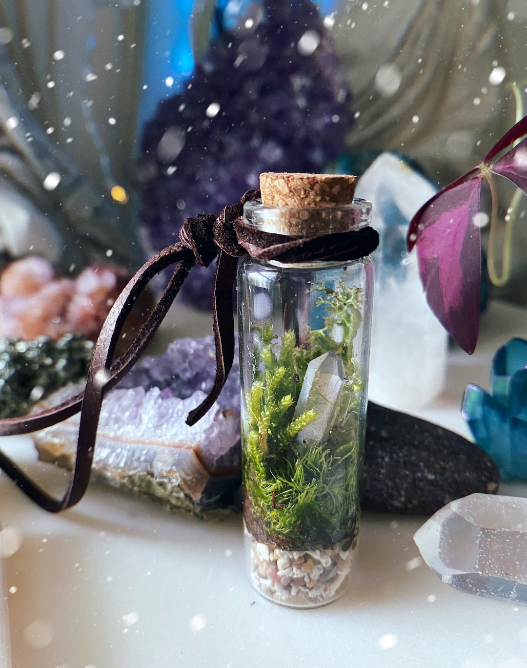 THRIVE Mini Hanging Terrarium Decor Living Plant Crystal Christmas ...
