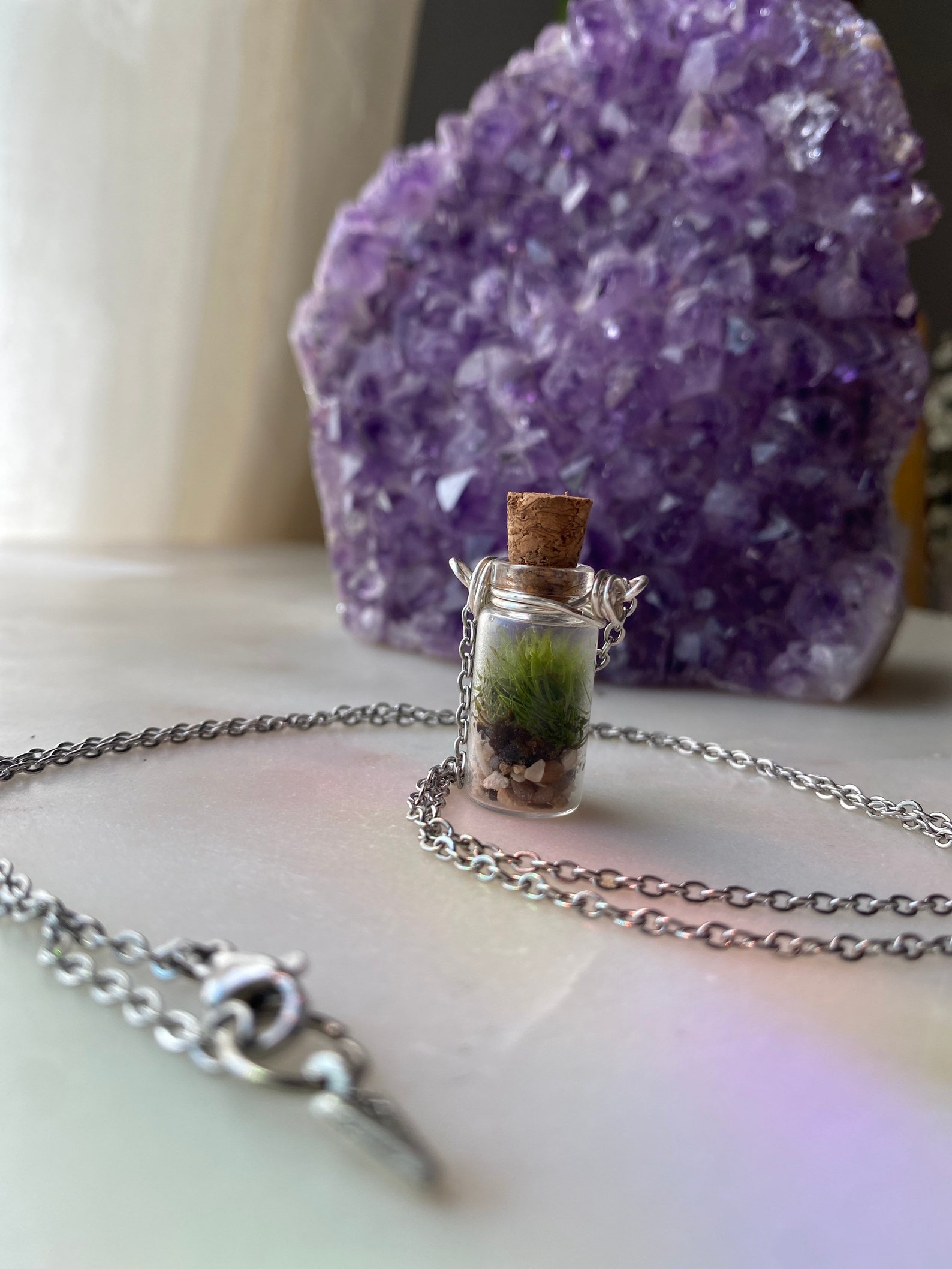 TINY TERRARIUM Necklace With Live Kentucky Moss Living Plant - Etsy