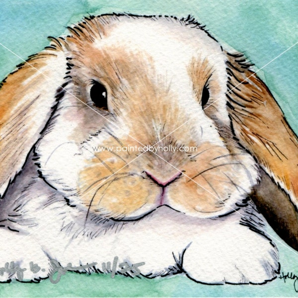 Floppy Eared Rabbit - Etsy