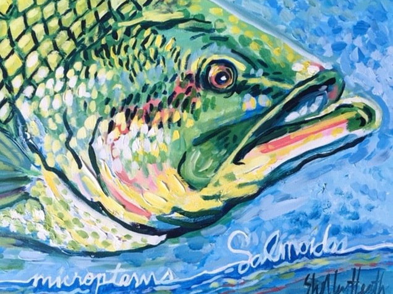 Acrylic Painting Largemouth Bass 16 X 20 Canvas - Etsy