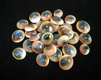 Cats eye shell | Etsy