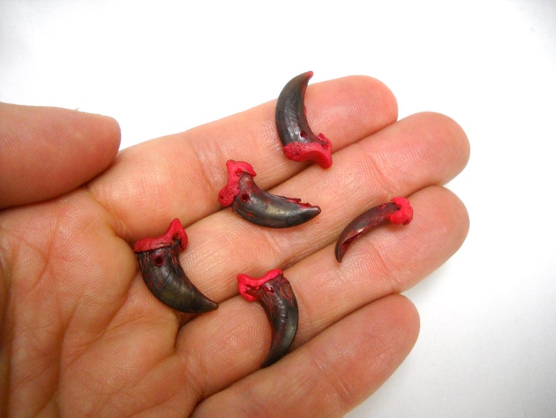Multipack Coyote Claws DRILLED RED Real Bone Taxidermy Genuine - Etsy