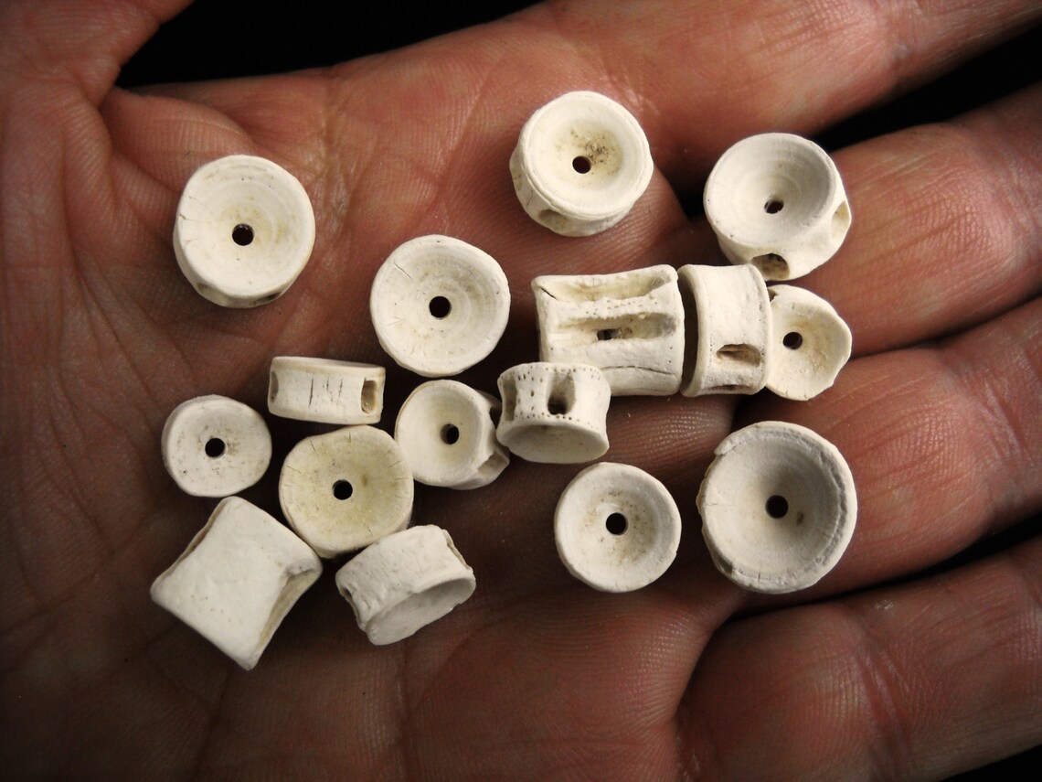 Multipack 1/4-3/8" DRILLED Shark Vertebrae Beads Real Bone Taxidermy ...