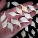15 DRILLED .75"-1.5" Gar Bone Scales Real Taxidermy Genuine Bones Beads ...