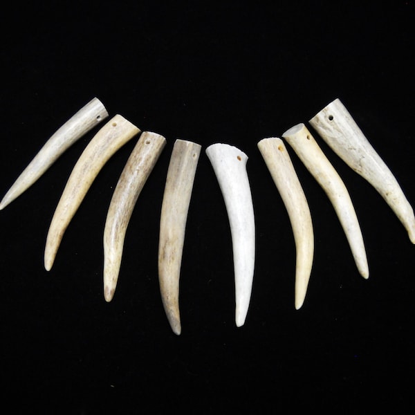 Deer Bone - Etsy