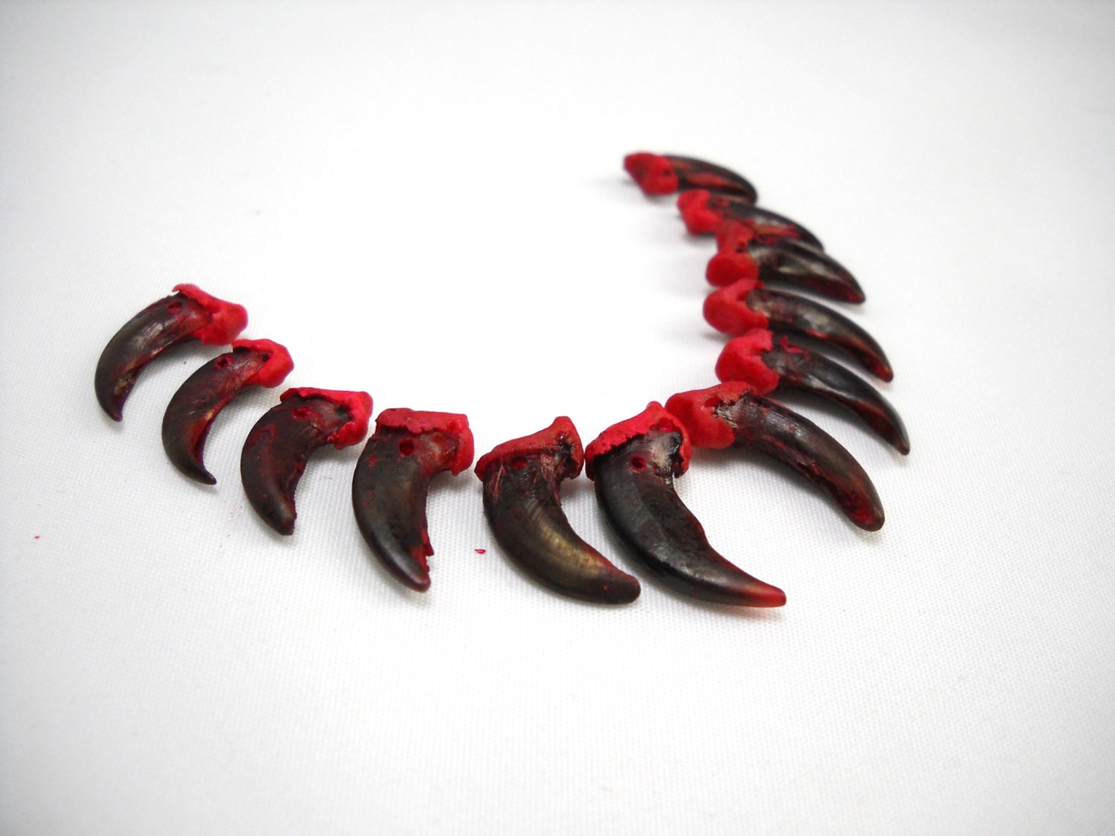 Multipack Coyote Claws DRILLED RED Real Bone Taxidermy Genuine | Etsy