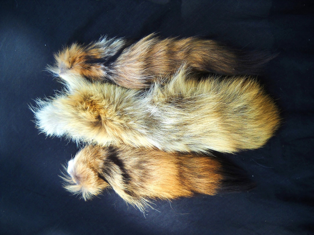 Real Fur Coyote Tail 14-15" Totem Key Chain Key Ring Furry Animal ...