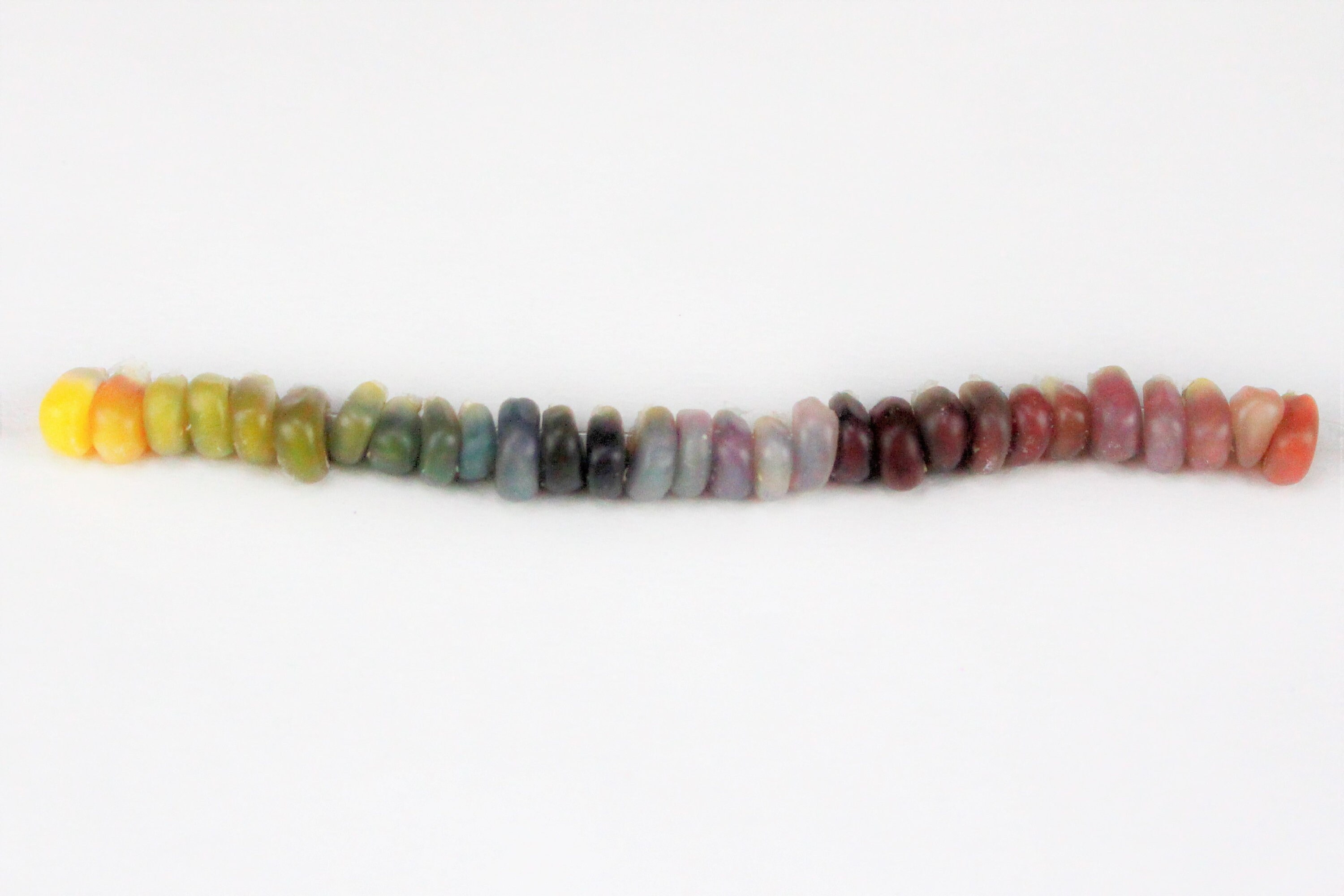 Glass Gem Corn Kernels DRILLED Natural Real Beads - Etsy