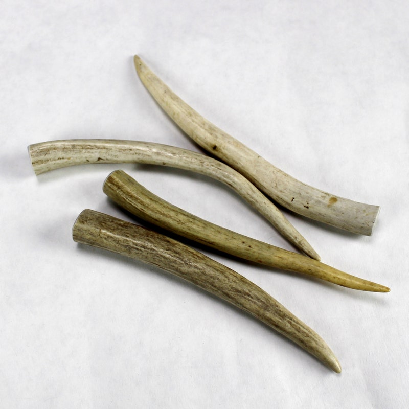Antler Tip - Etsy