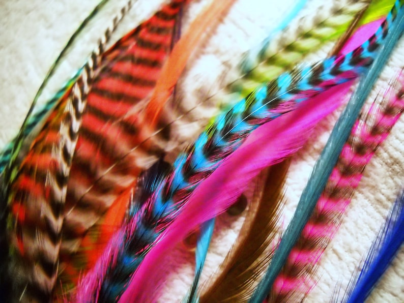 20 Long Thick Fuzzy Feather Hair Extensions Feathers Wholesale Grizzly ...