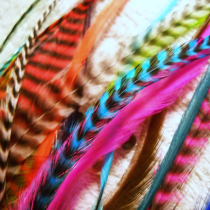 Hair Feathers - Etsy